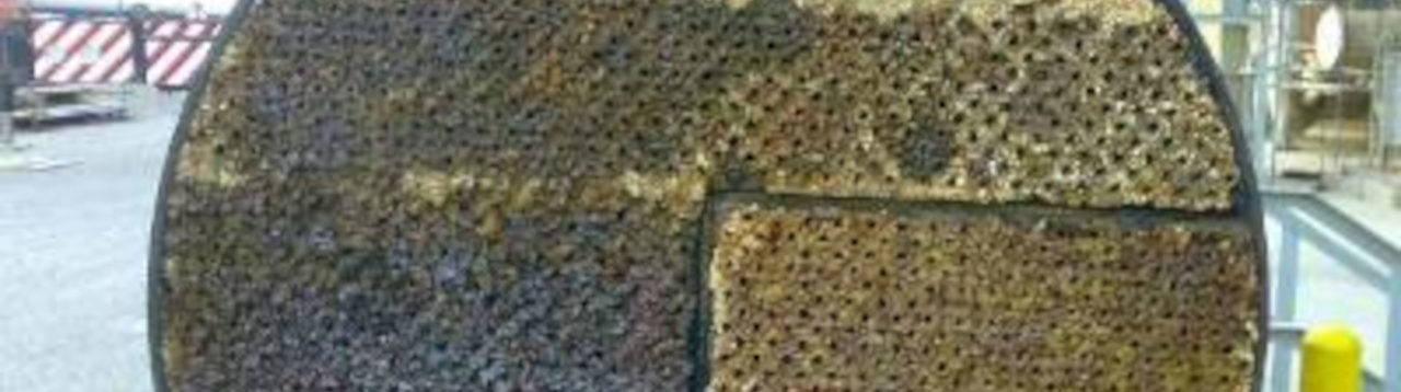 What causes Fouling in pipes and technical environment