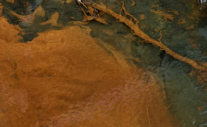 Iron bacteria - controlling in the well using Merus Ring