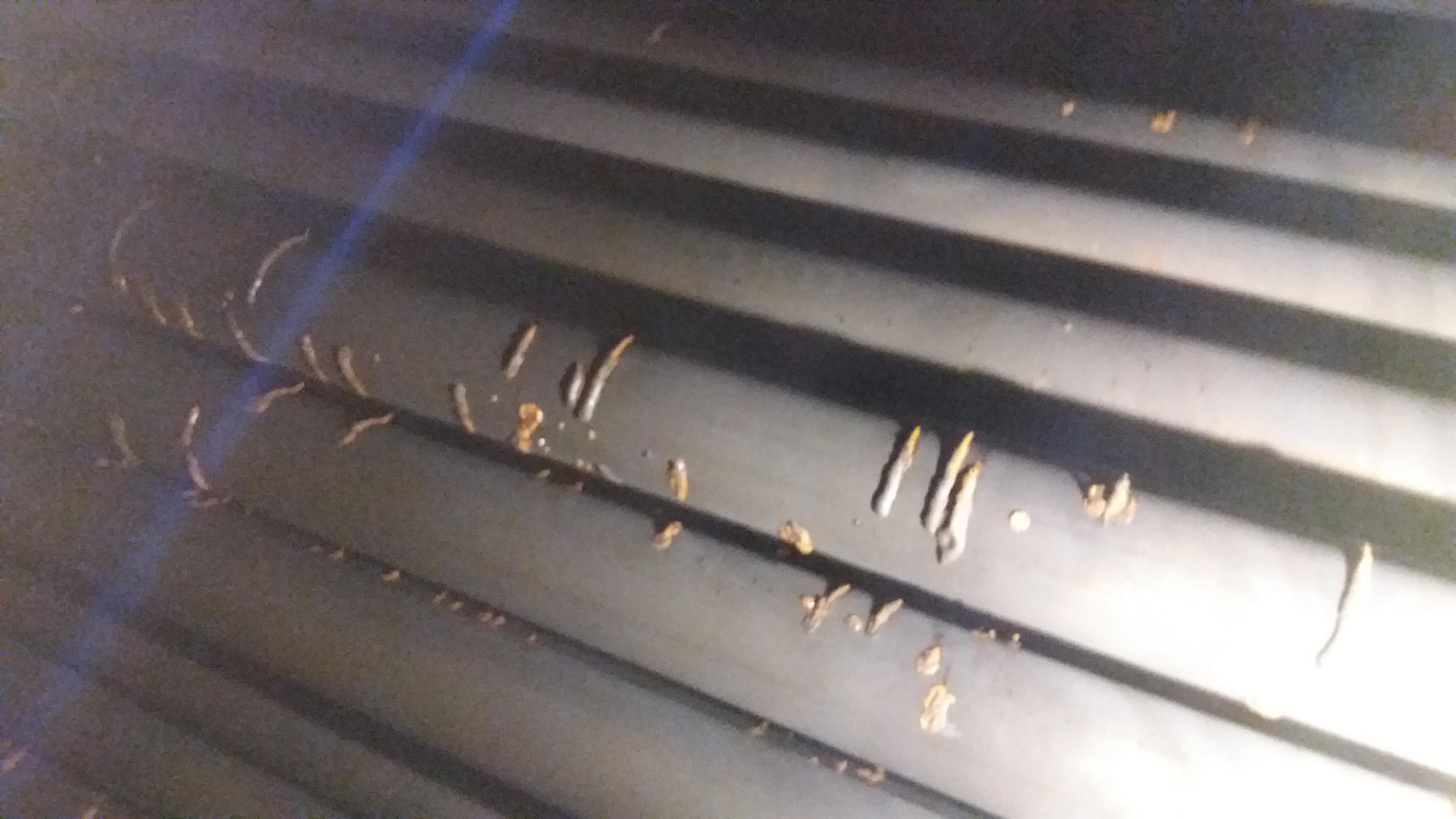 Pitting Corrosion Boiler Tubing stopped